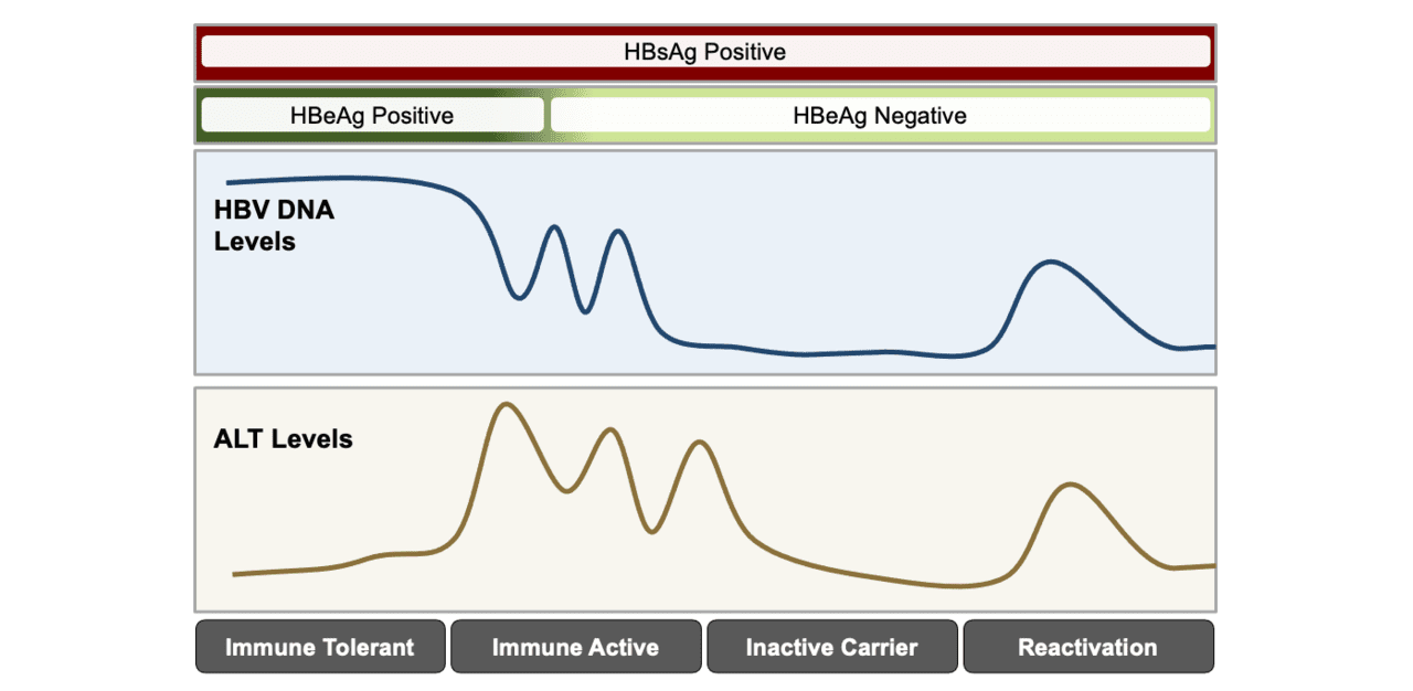 Core Concepts - Monitoring Persons On and Off HBV Therapy - HBO 3rd ...
