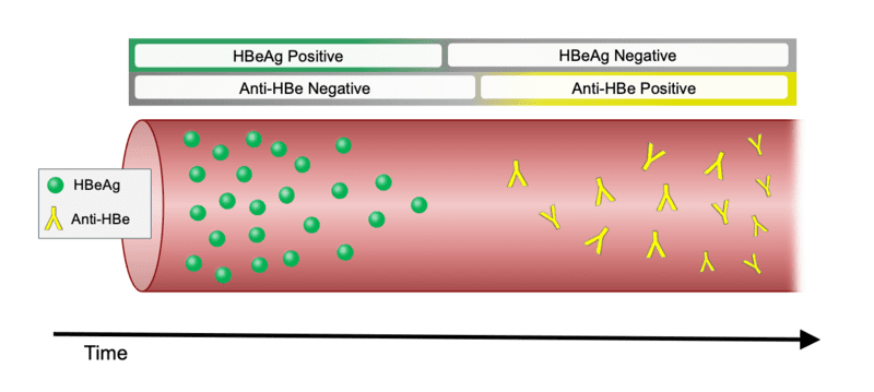 Core Concepts - Monitoring Persons On and Off HBV Therapy - HBO 3rd ...