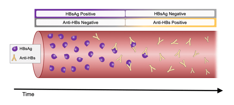 Core Concepts - Monitoring Persons On and Off HBV Therapy - Treatment ...